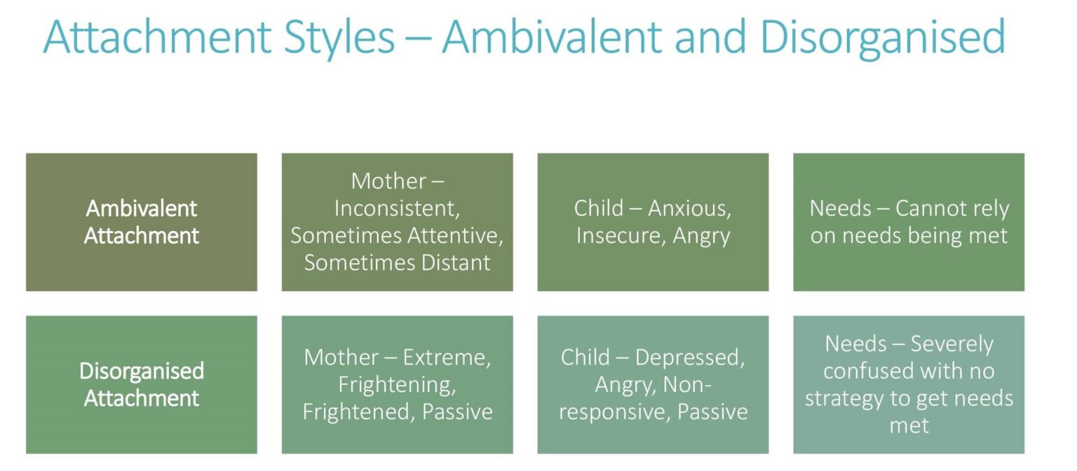 Attachment Theory and Narcissistic Personality Disorder – Children of ...