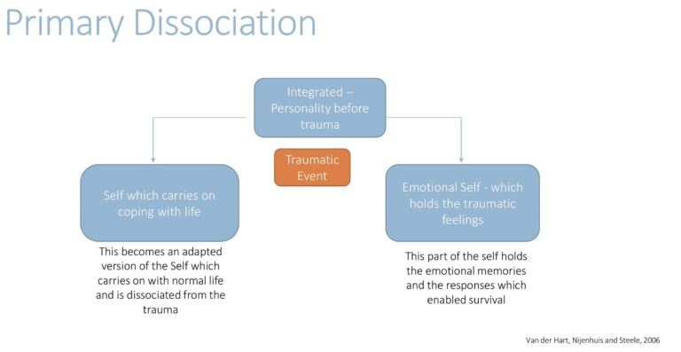 Structural Dissociation – Children of Narcissists