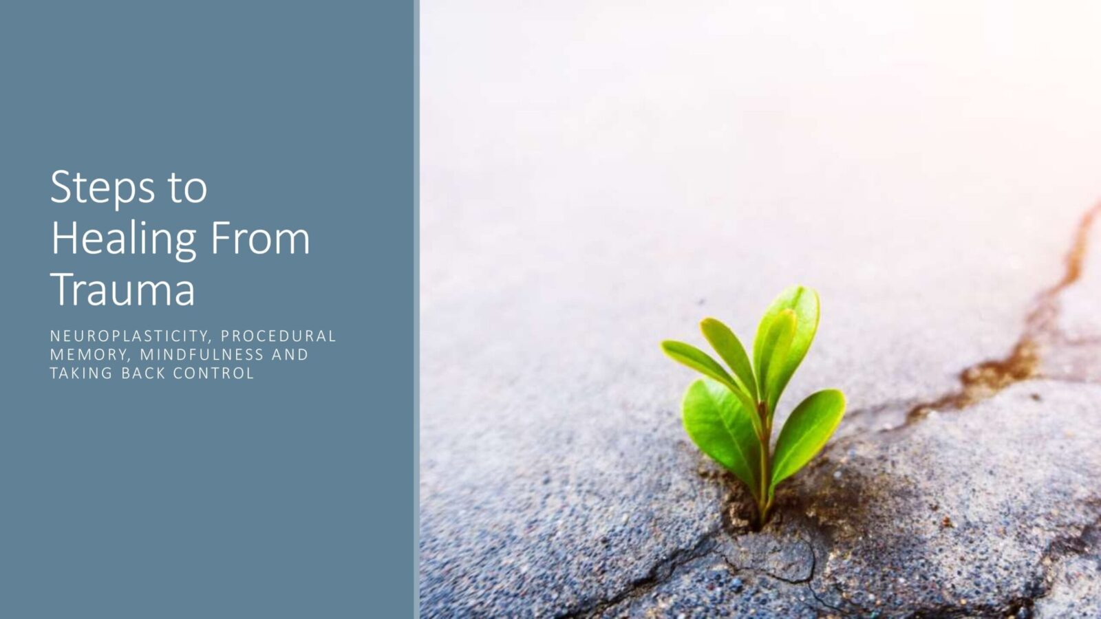 The Healing Process – Children of Narcissists