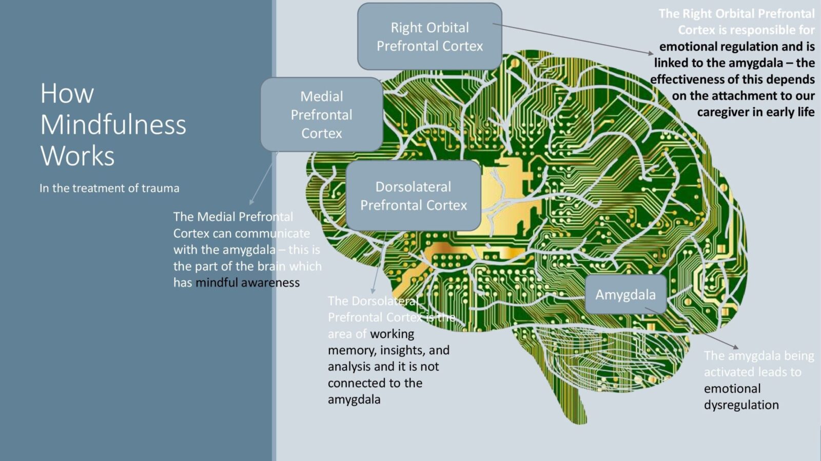 The Healing Process – Children of Narcissists