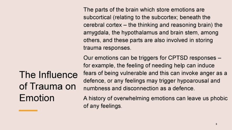 Trauma – Anger, Fear and Shame – Children of Narcissists
