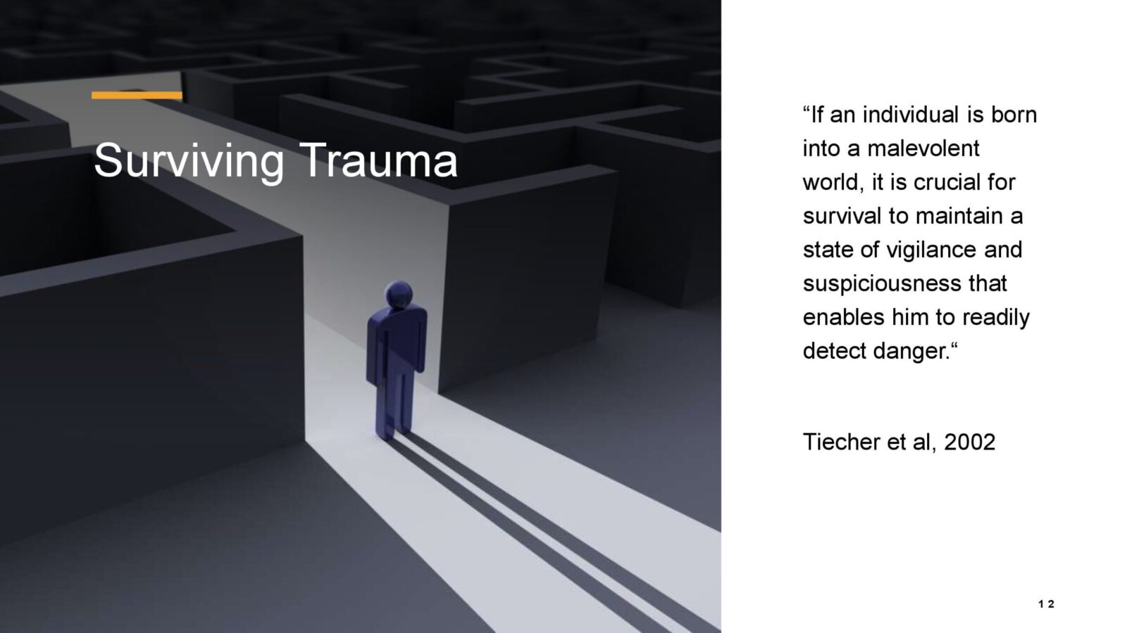 Trauma – Anger, Fear and Shame – Children of Narcissists